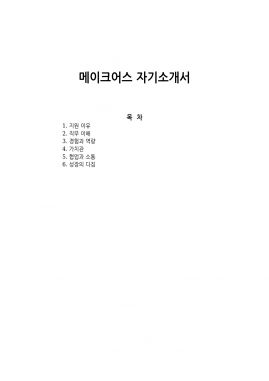 메이크어스 자기소개서-1페이지