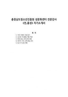 충청남도청소년진흥원 성문화센터 전문강사(천,홍성) 자기소개서-1페이지