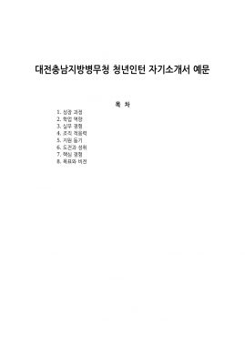 대전충남지방병무청 청년인턴 자기소개서 예문-1페이지