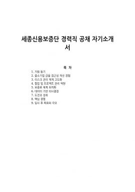 세종신용보증단 경력직 공채 자기소개서-1페이지