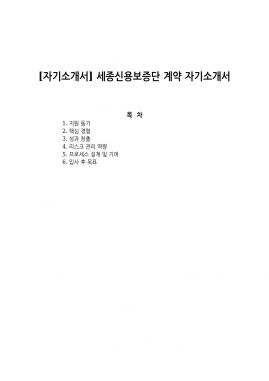 [자기소개서] 세종신용보증단 계약 자기소개서-1페이지