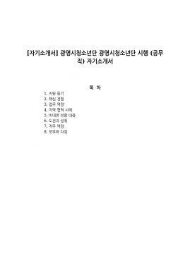 [자기소개서] 광명시청소년단 광명시청소년단 시행 (공무직) 자기소개서-1페이지