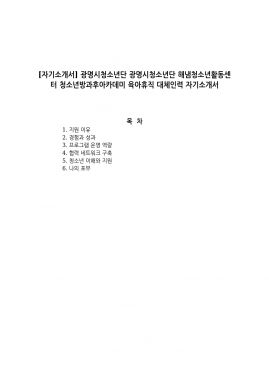 [자기소개서] 광명시청소년단 광명시청소년단 해냄청소년활동센터 청소년방과후아카데미 육아휴직 대체인력 자기소개서-1페이지