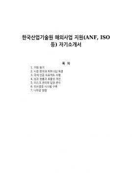 한국산업기술원 해외사업 지원(ANF, ISO 등) 자기소개서-1페이지