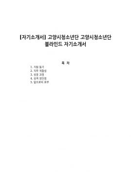 [자기소개서] 고양시청소년단 고양시청소년단 블라인드 자기소개서-1페이지