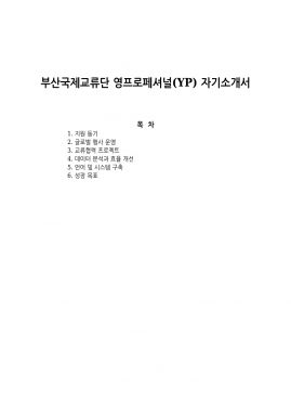 부산국제교류단 영프로페셔널(YP) 자기소개서-1페이지