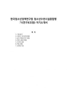 한국청소년정책연구원 청소년수련시설종합평가(연구보조원) 자기소개서-1페이지
