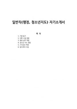 일반직(행정, 청소년지도) 자기소개서-1페이지