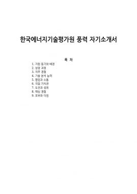 한국에너지기술평가원 풍력 자기소개서-1페이지