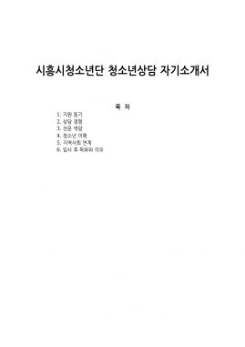 시흥시청소년단 청소년상담 자기소개서-1페이지