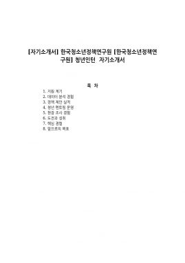 [자기소개서] 한국청소년정책연구원 [한국청소년정책연구원] 청년인턴 자기소개서-1페이지