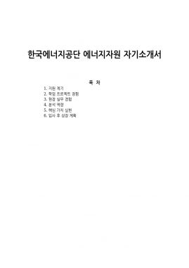 한국에너지공단 에너지자원 자기소개서-1페이지