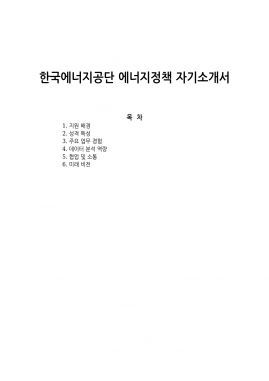 한국에너지공단 에너지정책 자기소개서-1페이지
