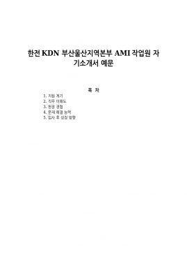 한전KDN 부산울산지역본부 AMI작업원 자기소개서 예문-1페이지