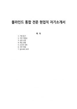 블라인드 통합 전문 현업직 자기소개서-1페이지