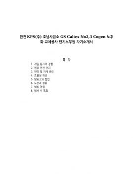 한전KPS(주) 호남사업소 GS Caltex No2,3 Cogen 노후화 교체공사 단기노무원 자기소개서-1페이지