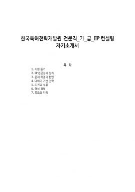 한국특허전략개발원 전문직_가_급_IP컨설팅 자기소개서-1페이지