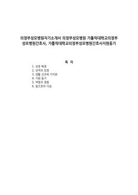 의정부성모병원자기소개서 의정부성모병원 가톨릭대학교의정부성모병원간호사, 가톨릭대학교의정부성모병원간호사지원동기-1페이지