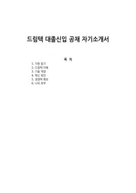 드림텍 대졸신입 공채 자기소개서-1페이지