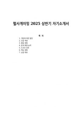 펄사게이밍 2025 상반기 자기소개서-1페이지