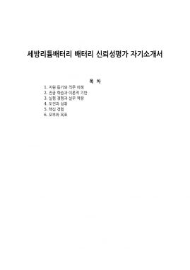 세방리튬배터리 배터리 신뢰성평가 자기소개서-1페이지