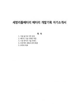 세방리튬배터리 배터리 개발기획 자기소개서-1페이지